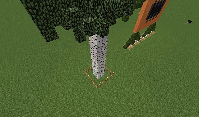 Birch Tree Minecraft Map