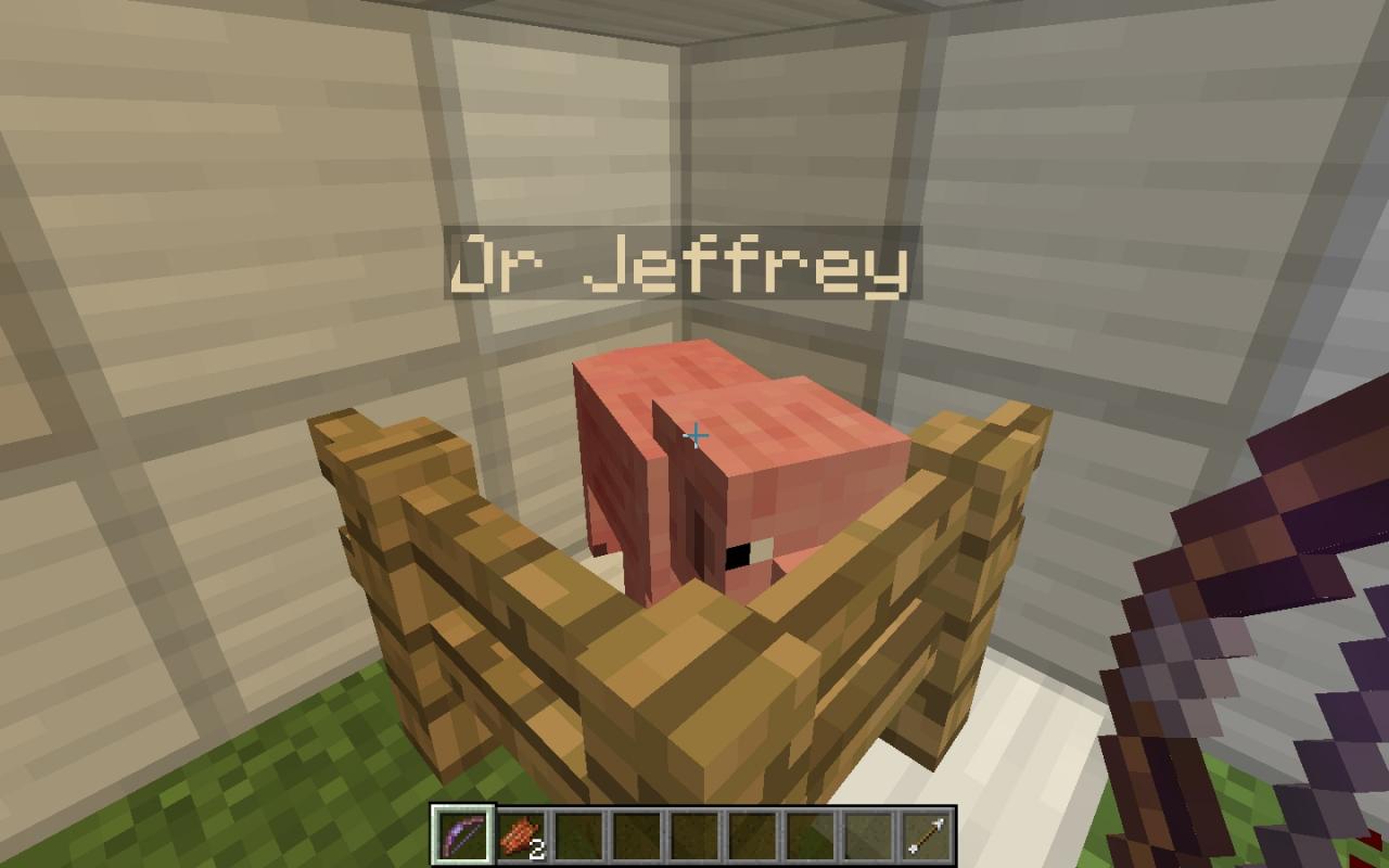 Plague Map Minecraft Project