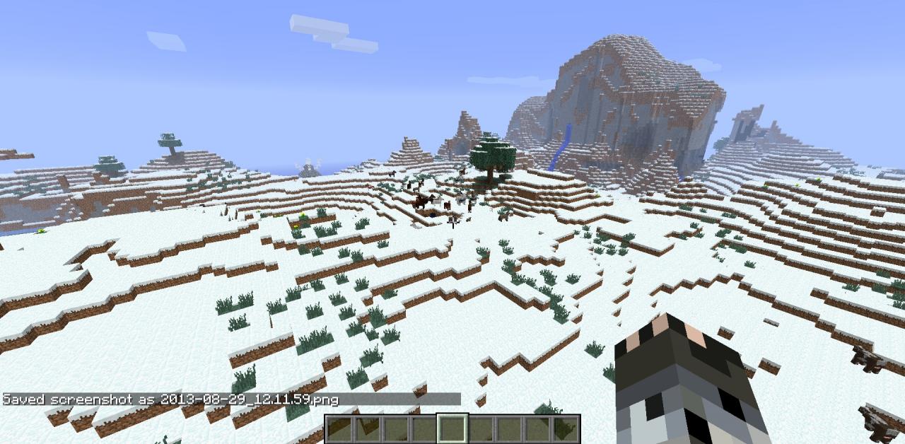 Survival World Minecraft Map