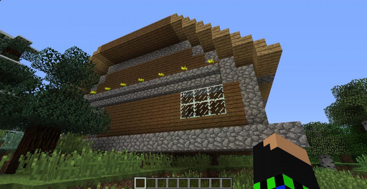 Fancy House (made by myself) Minecraft Map