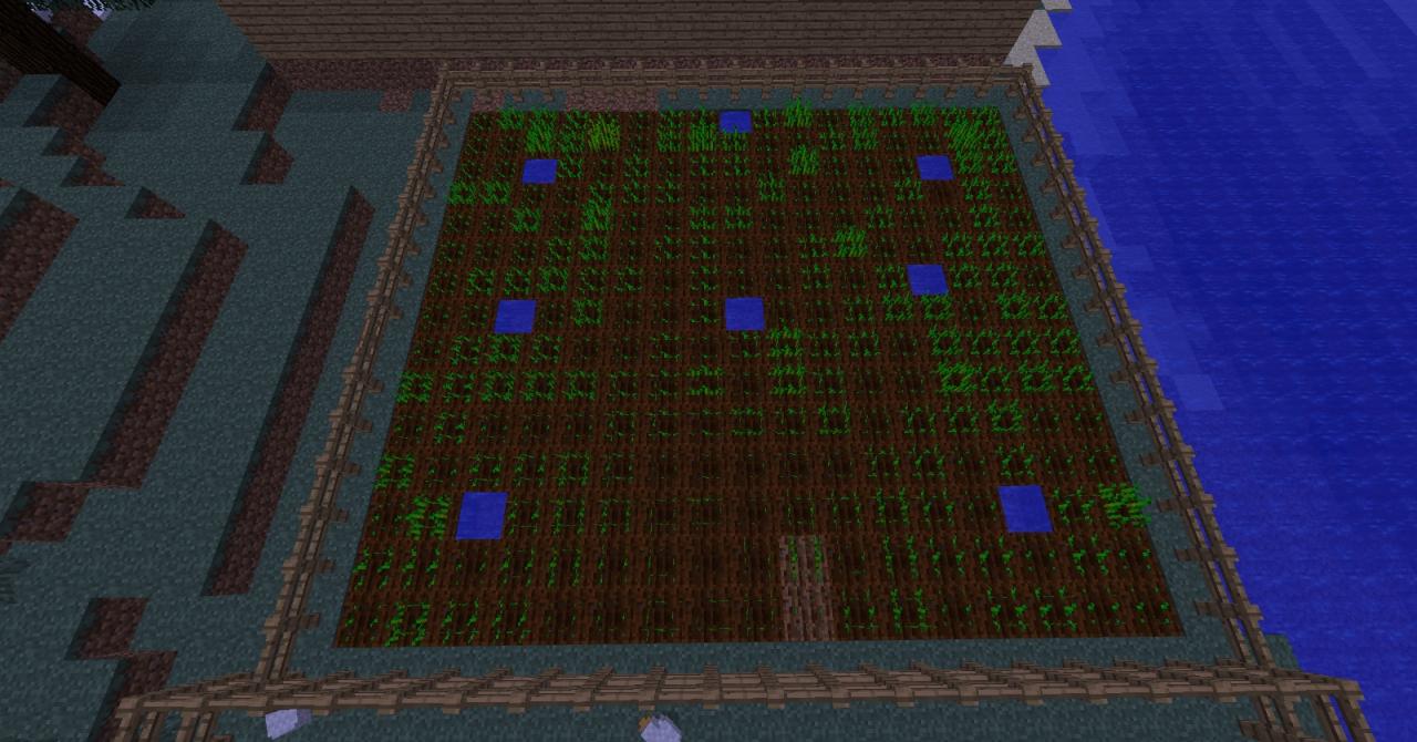 The farm house Minecraft Map