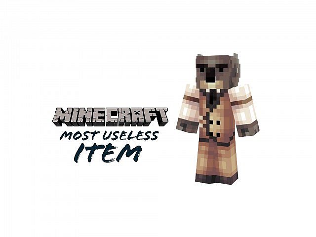 Minecraft: Most Useless Item