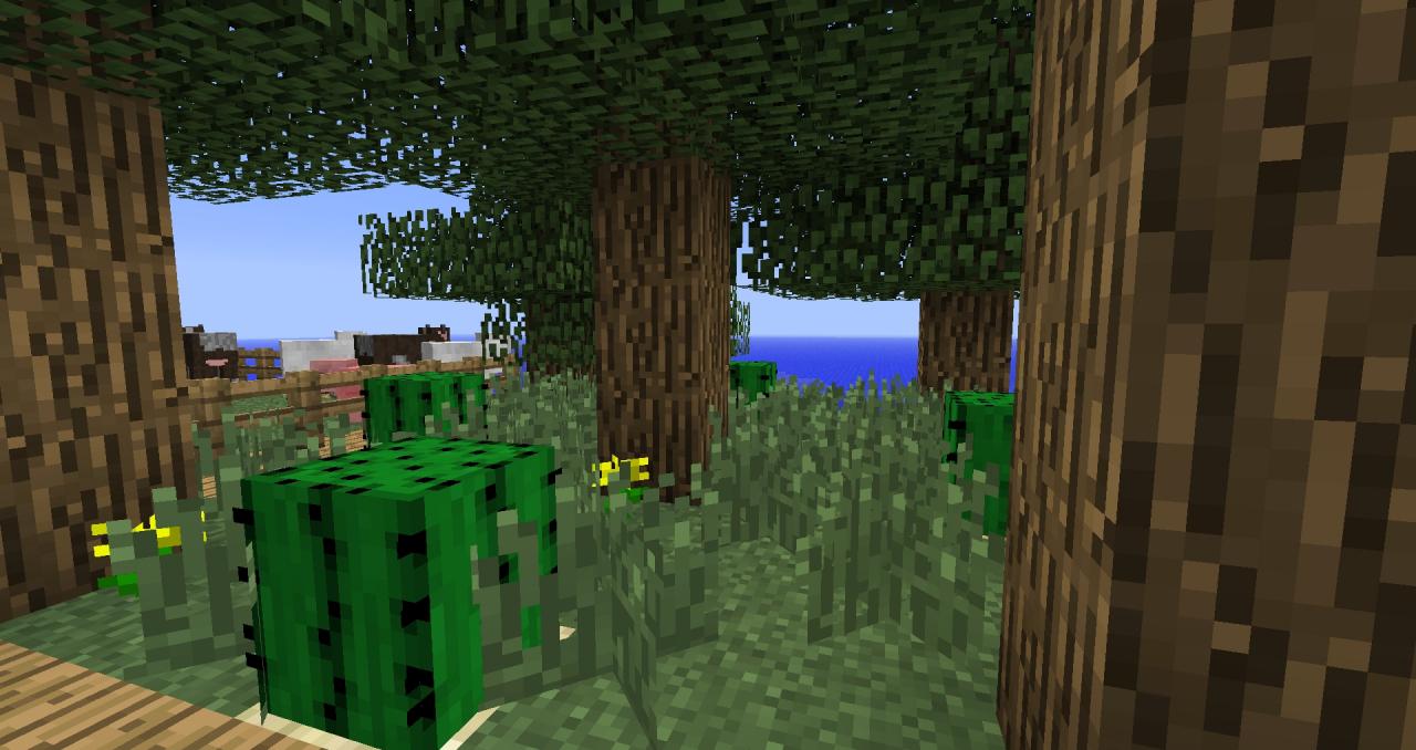 The Edge of Minecraft! Minecraft Map