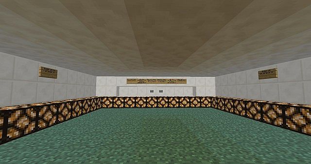 The Creative Anatomy Minecraft Map