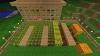 Survival Set Up Minecraft Map