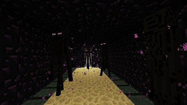 Insanity Dungeon Minecraft Map