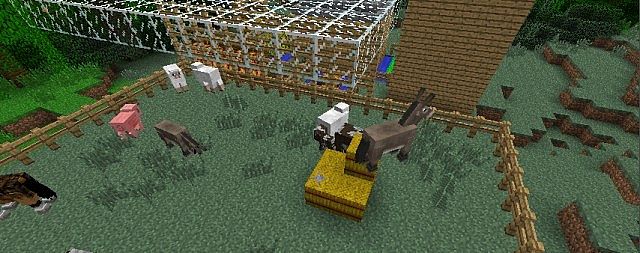 Farming Minecraft Map