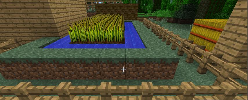 Farming Minecraft Map