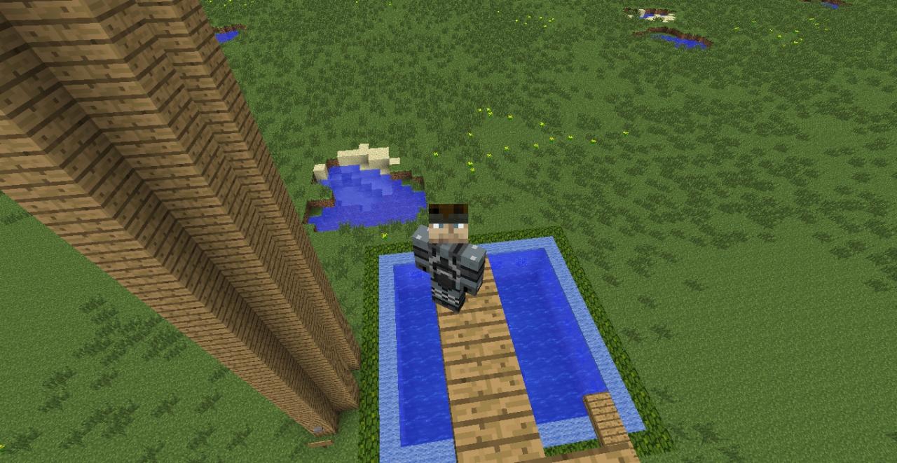 La piscina(The pool) Minecraft Map