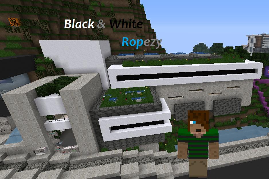 Black&White Minecraft Map