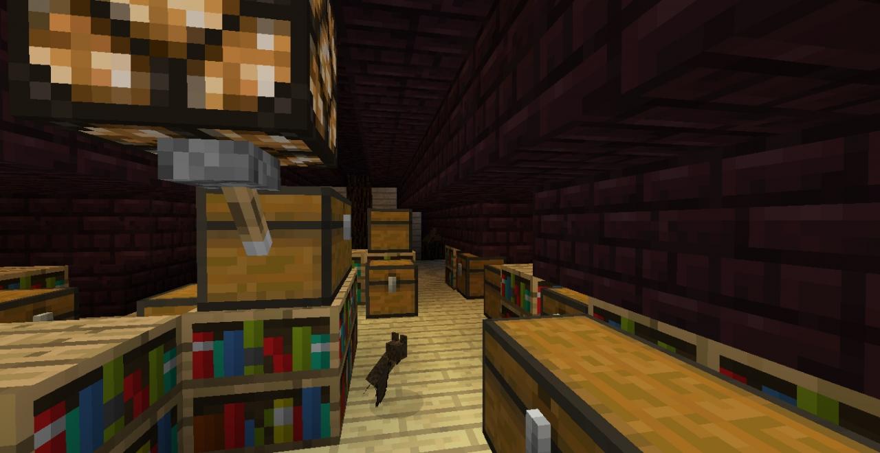 Ye old' Library Minecraft Map