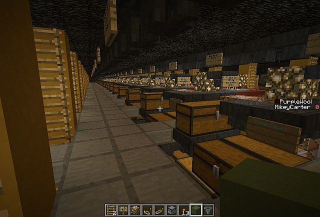 Item Sorter and Selection System Minecraft Map