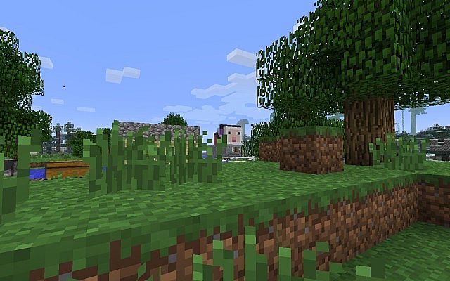 CubeCraft Minecraft Server