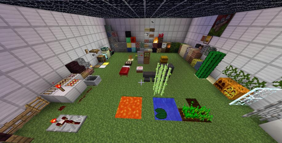 Texture Pack Test Minecraft Map
