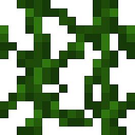 KIng of the vines Minecraft Map