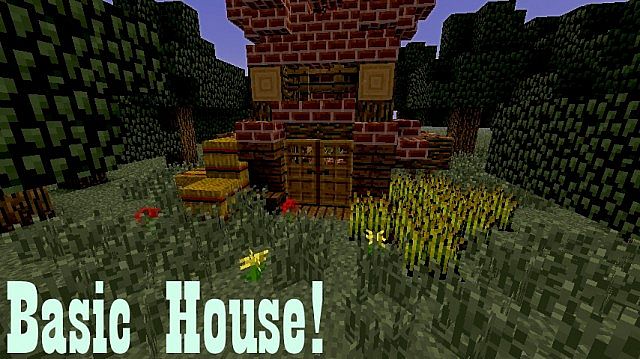 Basic House Minecraft Map