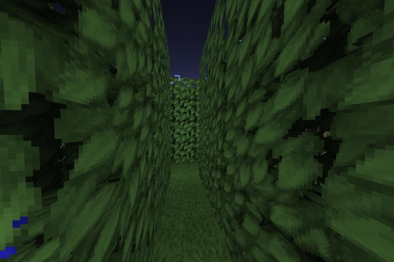 Maze Minecraft Map