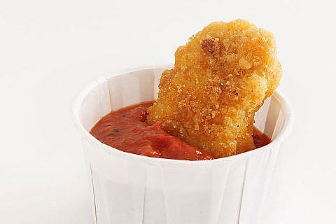 Nugget Realms Minecraft Server