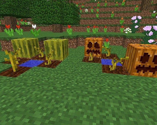 Peaceful Farm Minecraft Map