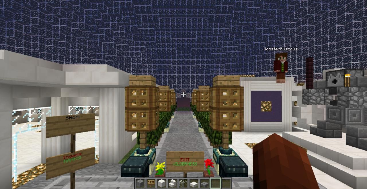 WizCraft | Pvp | Survival | Raiding | Minecraft Server