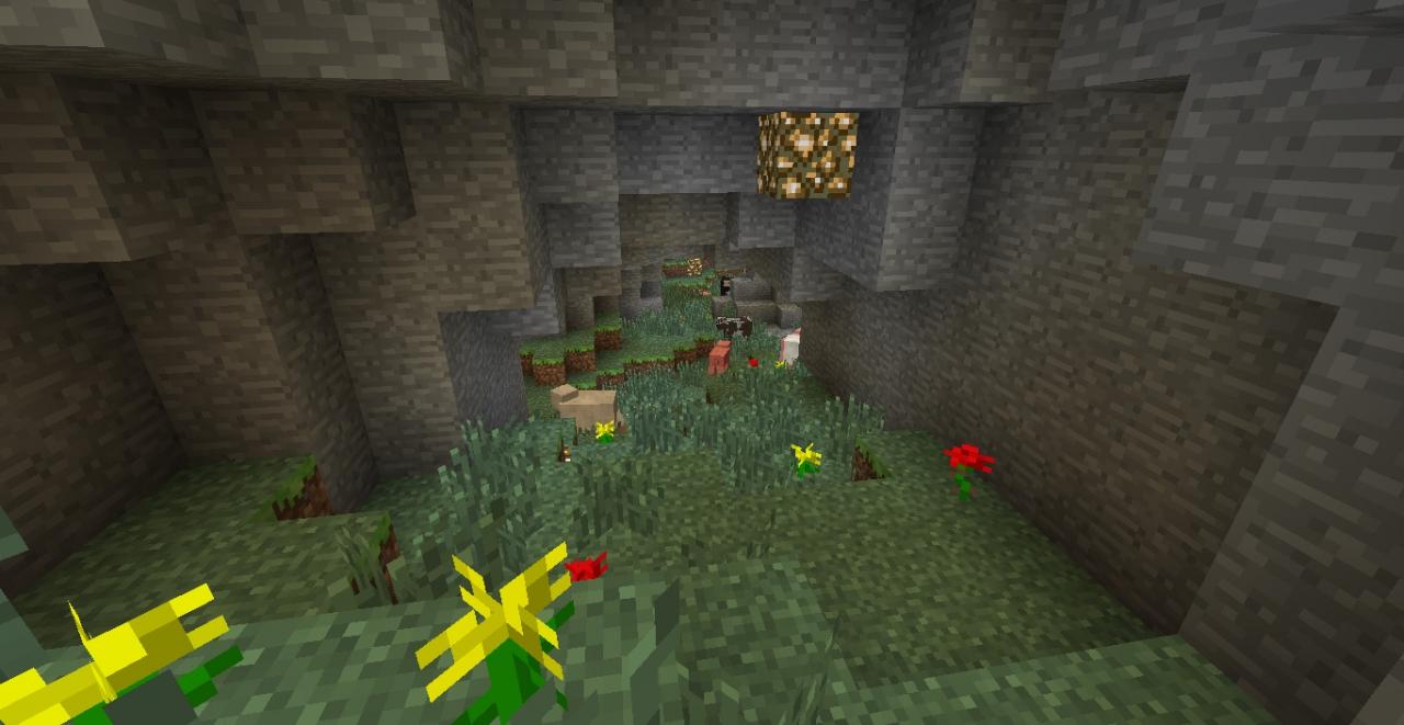 First Build Minecraft Map