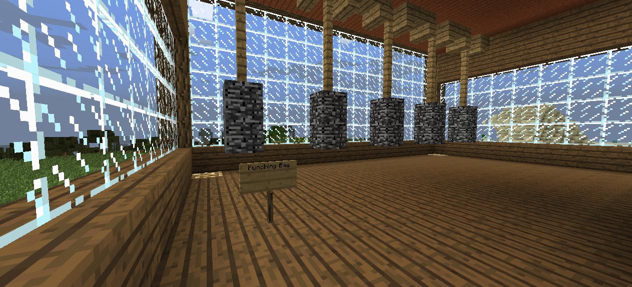 Sport Center Minecraft Map