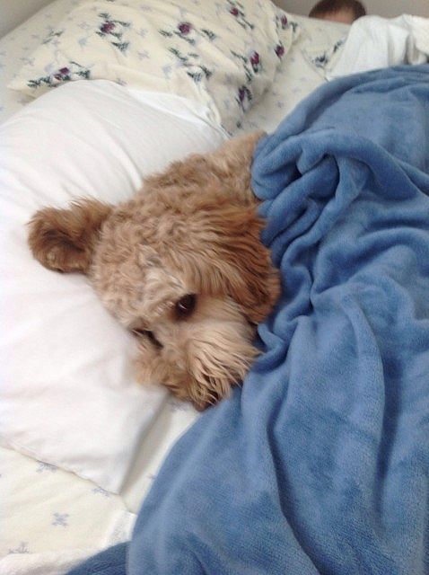 Creative Craft Minecraft Server