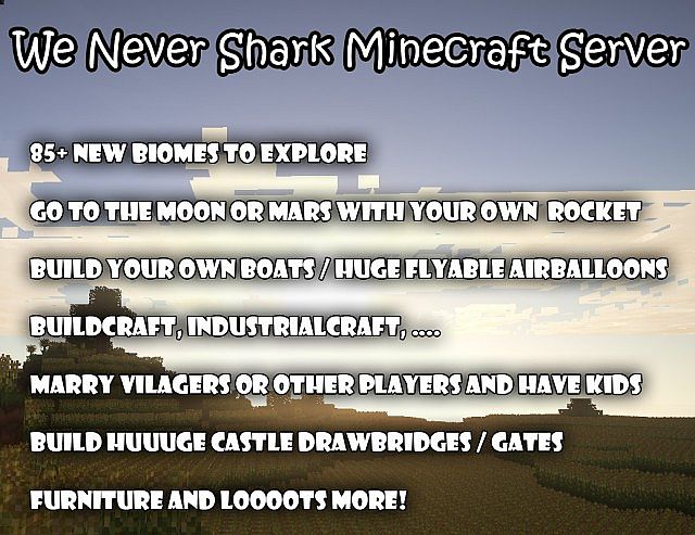 We Never Shark Minecraft Server