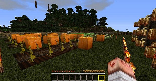 Life on a Plantation Minecraft Map