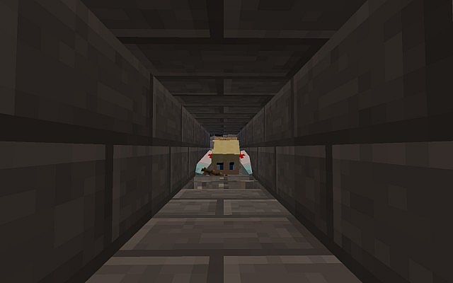 Tutorial Map for the Smart Moving Mod. Minecraft Map