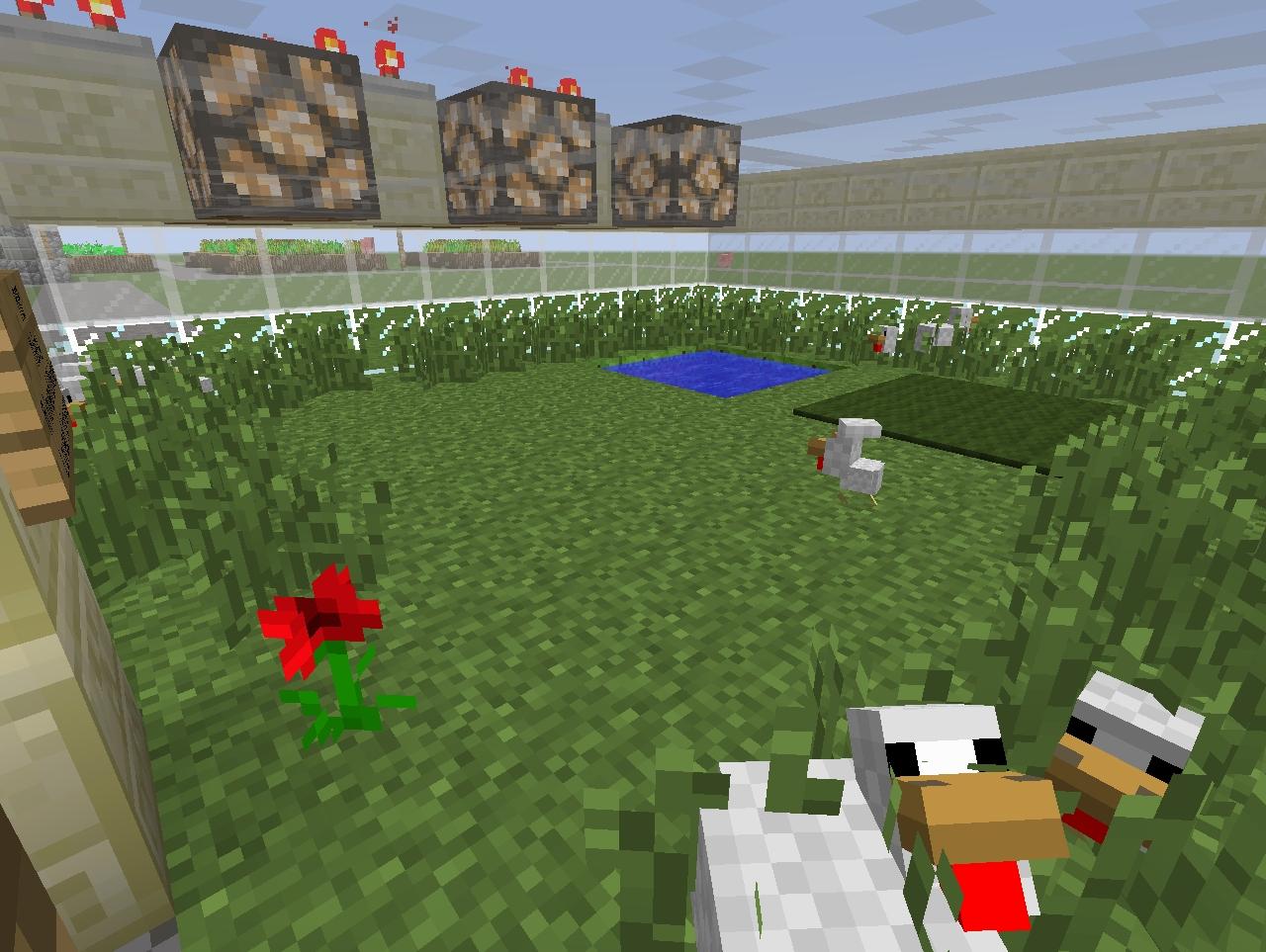 Chicken Farm Thingy-techieMC Minecraft Map
