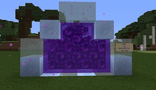 Portals #2 Minecraft Map