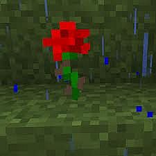 Bring back the roses! Minecraft Blog