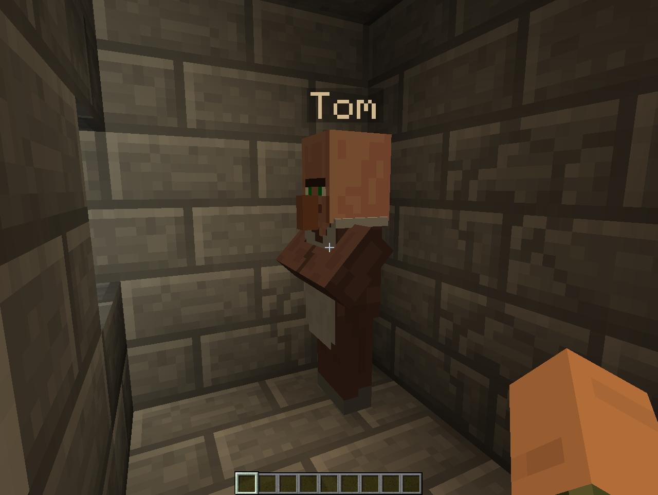 Etihw Tnegras village Minecraft Map