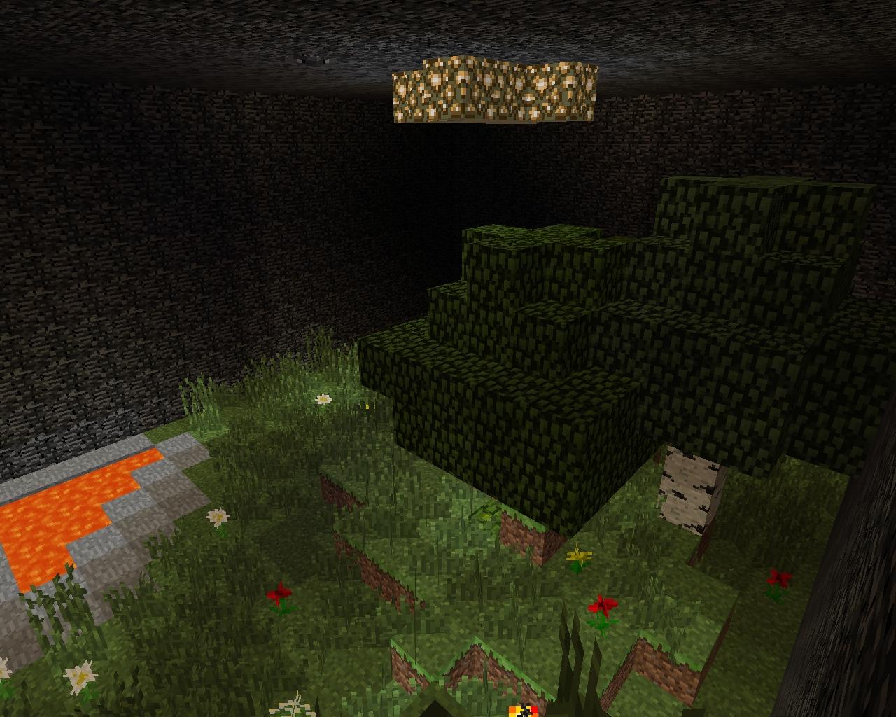 The Box Minecraft Map