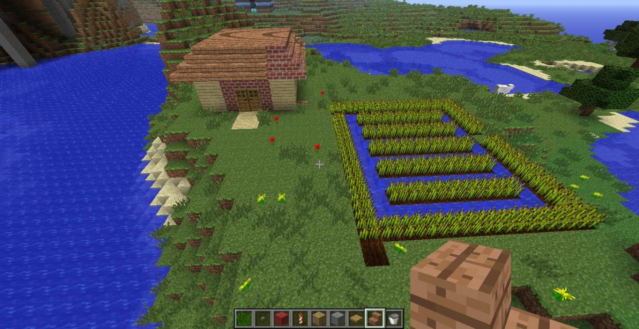 Funny Art Minecraft Map