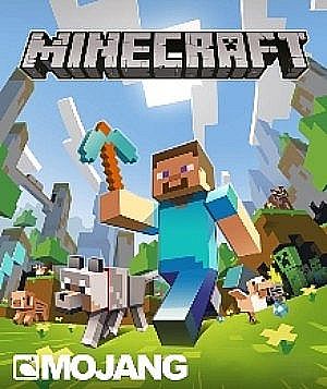 Why is Minecraft so Popular?