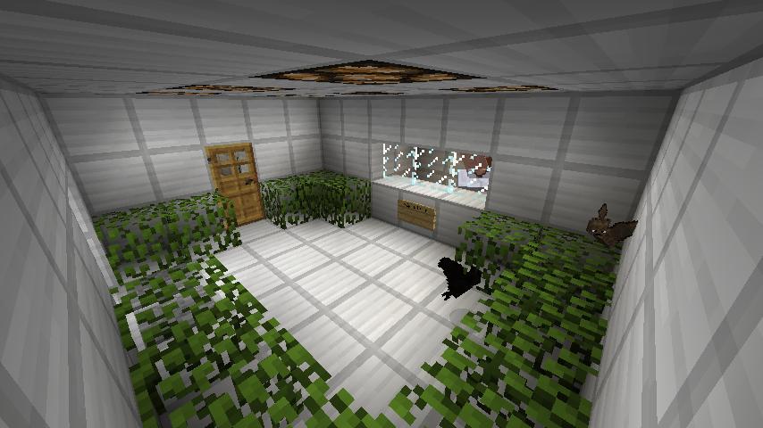 Bank Robbery - ReioGaming Minecraft Map