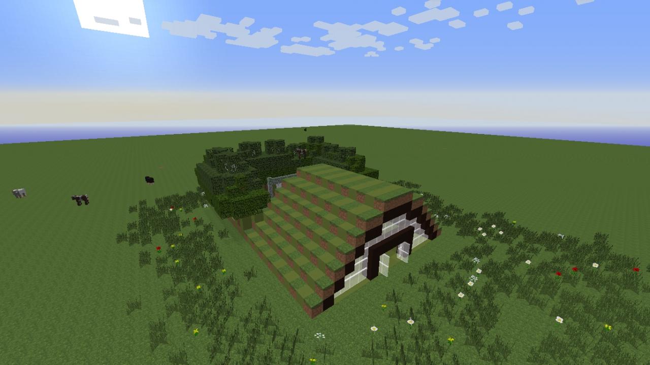 The Green Grass House Minecraft Map