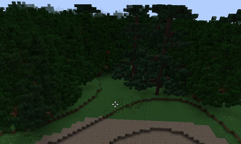 Forest Track Minecraft Map