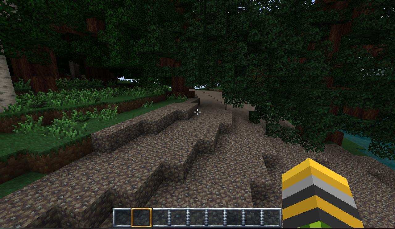 Forest Track Minecraft Map
