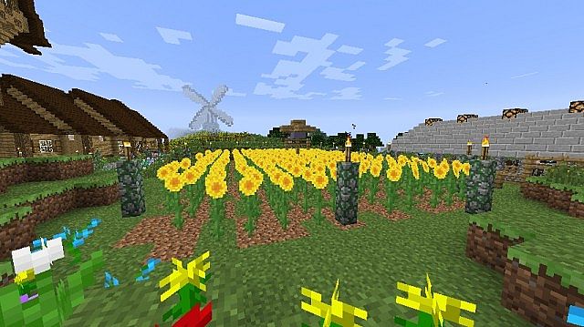 FarmLand Minecraft Map