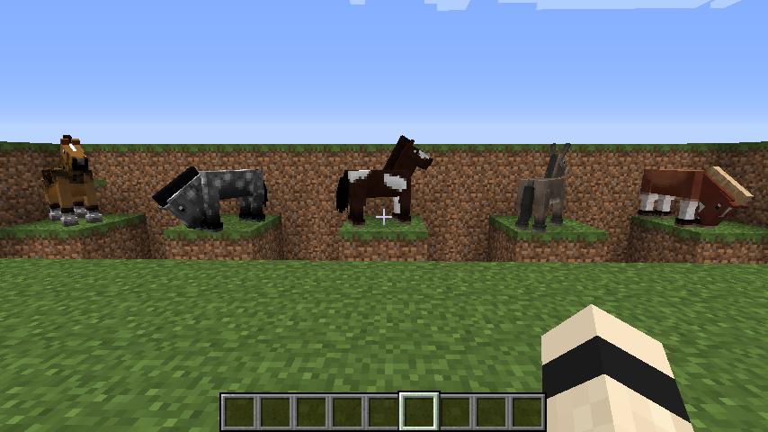 Texture Gallery Minecraft Map