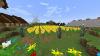 FarmLand Minecraft Map