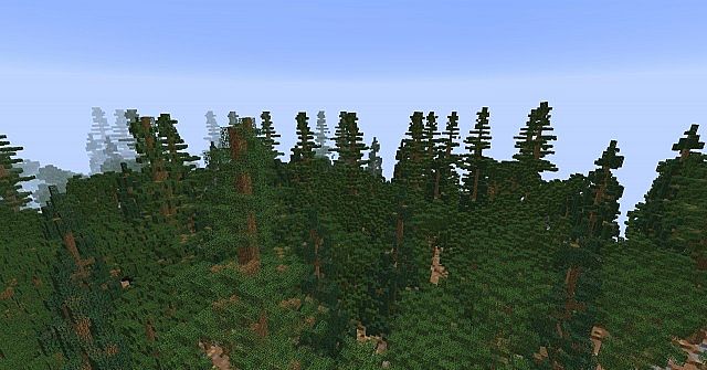 The Terray forest - 10 000x10 000 blocks Minecraft Map