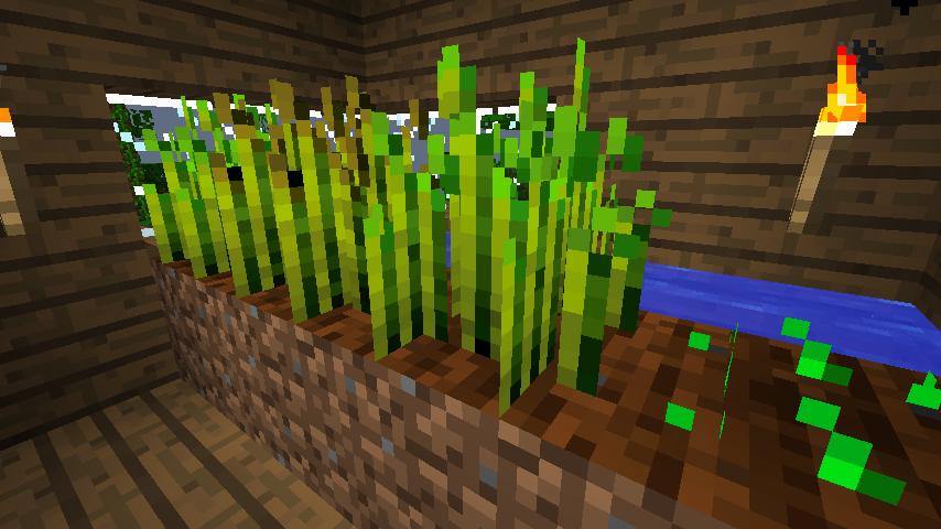 Tree house with underground farm Minecraft Map