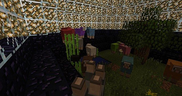 Sheep dye!! Minecraft Map