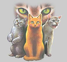 warriors cat skin series Minecraft Map