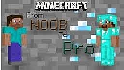 How to be a pro in minecraft