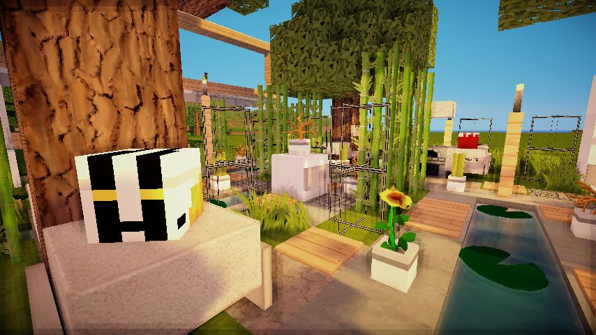 Organic Minimalistic Modern house Minecraft Map